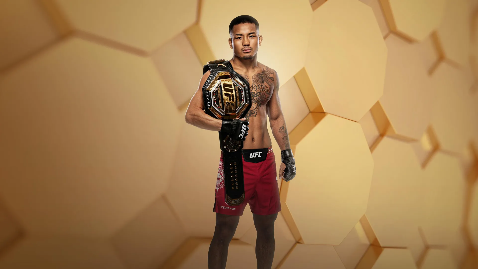 Ve las películas y series de Ufc Joshua Van en Paramount+ México