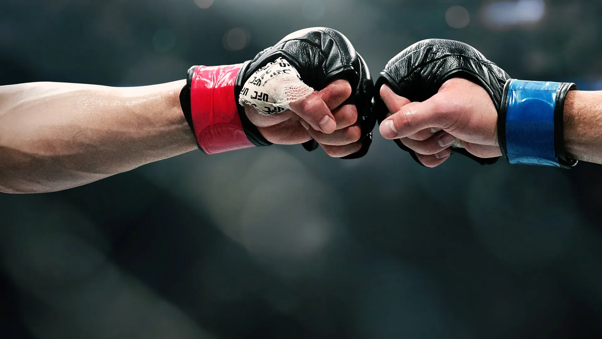 UFC Fight Night (Português) - Ver en Paramount+ Uruguay